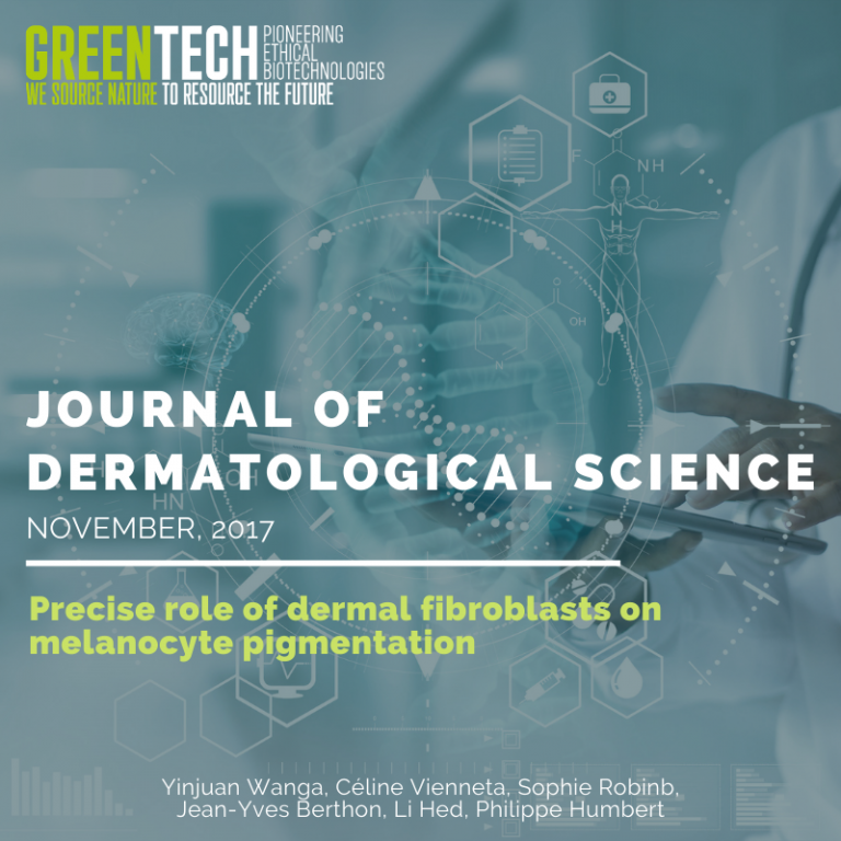 Journal of Dermatological Science – Precise role of dermal fibroblasts ...