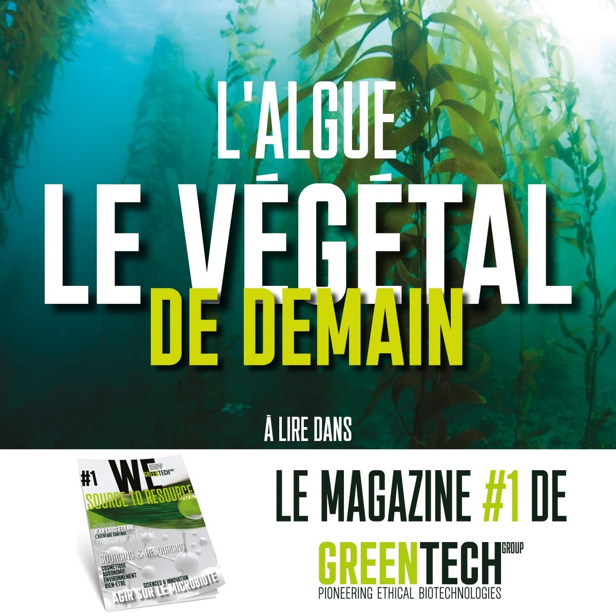 GREENTECH Magazine # 1: Algae, the plant of tomorrow | GREENTECH